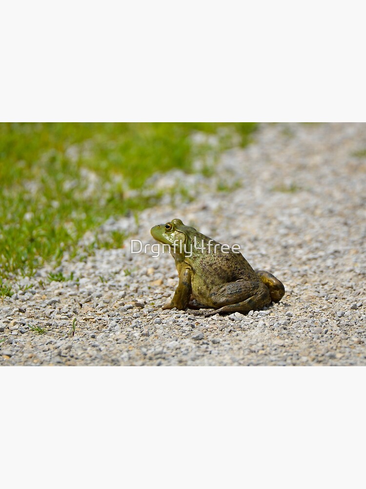 "Frog Crossing" Art Print for Sale by Drgnfly4free | Redbubble