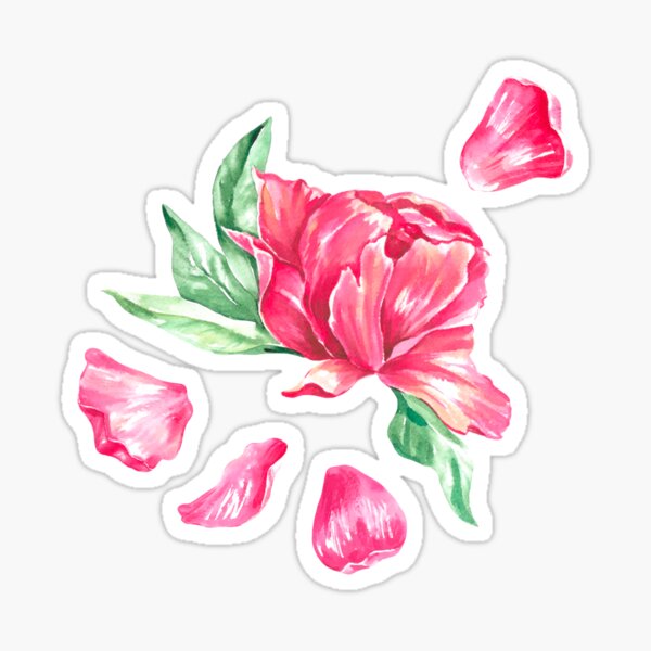 "Pink peonies stickers set - hand-painted watercolor" Sticker by tet-er ...