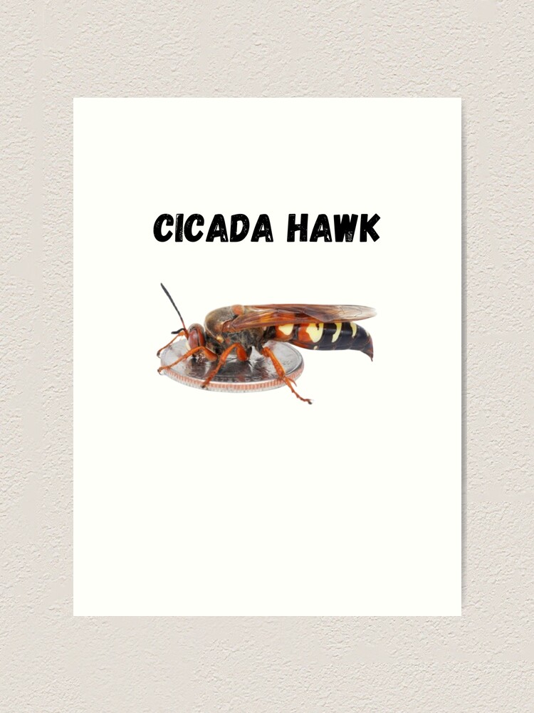 "Cicada Killer Wasp, a.k.a. Cicada Hawk" Art Print for Sale by Lomyn ...