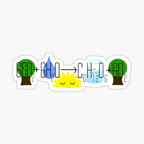 "Photosynthesis" Sticker for Sale by HappyEvaArt | Redbubble