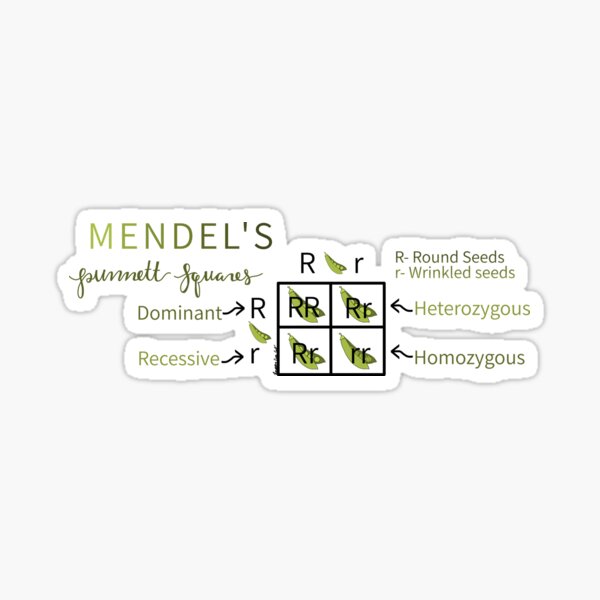 Gregor Mendel Stickers | Redbubble