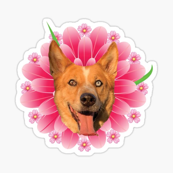 "HAMMY Flower Crown" Sticker for Sale by chriscoxmusic | Redbubble