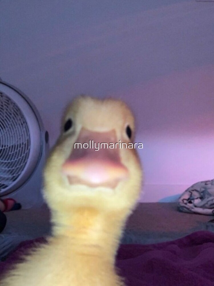 Funny duck selfie iPhone Case sold by Brian Adams | SKU 23986576 | 55% ...