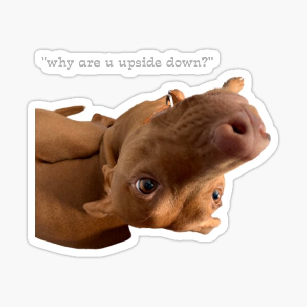 "Upside down" Sticker for Sale by diana-ash | Redbubble