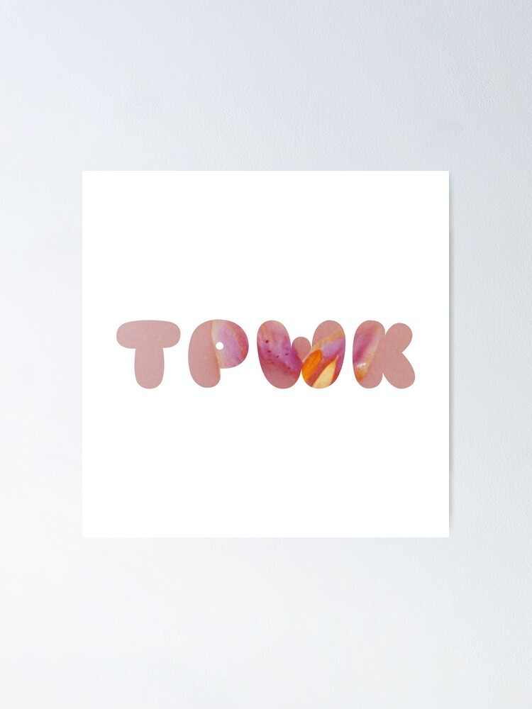 "TPWK - harry styles background" Poster by Thenextemotion | Redbubble