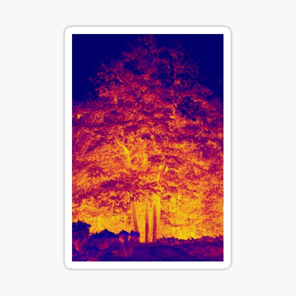 "Surreal fantasy infrared trees" Sticker for Sale by springrace | Redbubble