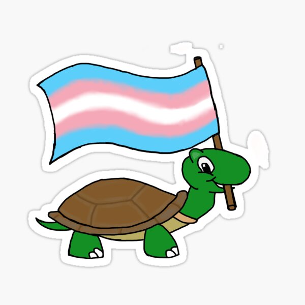 "Pride Turtle (Trans)" Sticker by sameDif | Redbubble