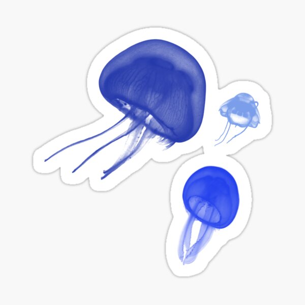 "Blaue Qualle" Sticker von TheTimeToDraw | Redbubble