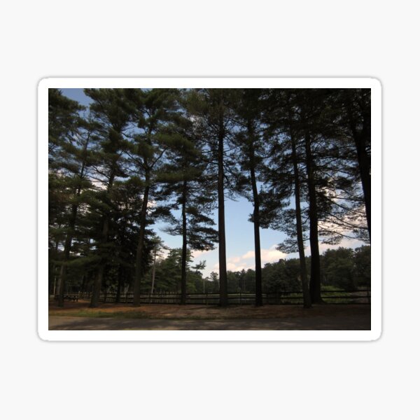 "Ionic Columns" Sticker for Sale by RVogler | Redbubble