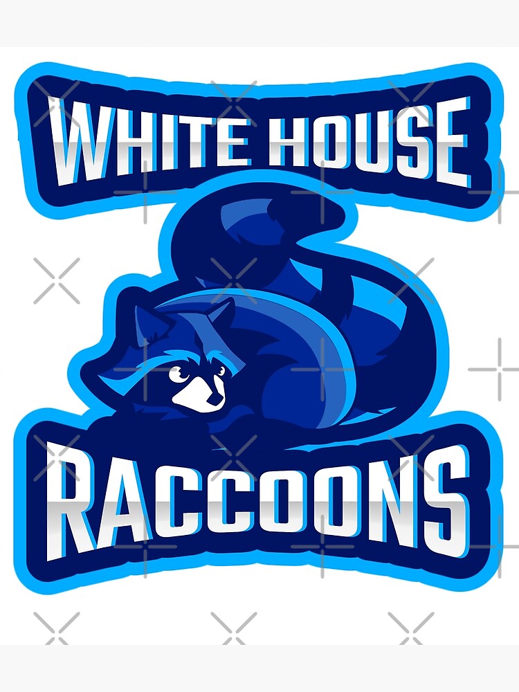 "White House Raccoons, Decedents of Calvin Coolidge's Raccoon Rebecca ...