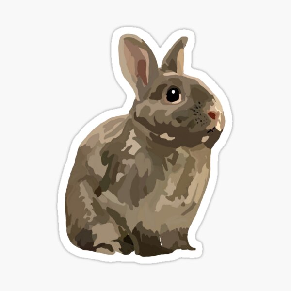 "Cute Realistic Bunny Rabbit Brown" Sticker for Sale by Dolaro-merch ...