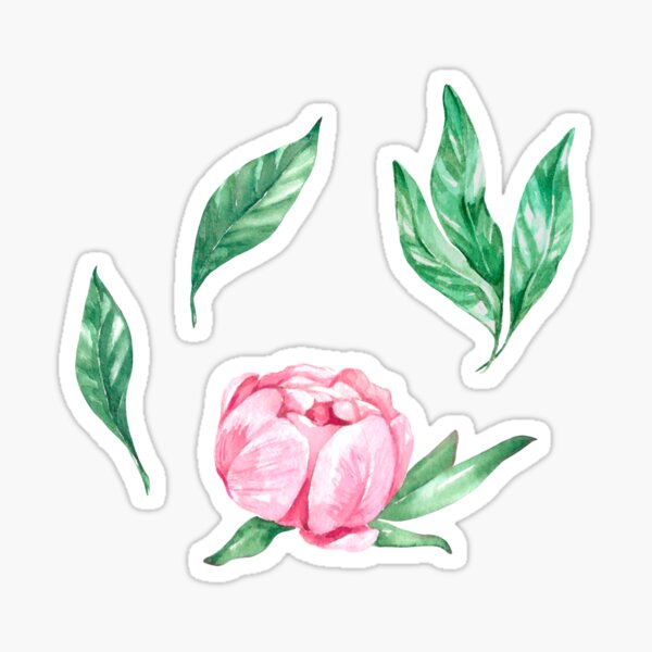 "Hand-painted watercolor pink peony sticker collection set" Sticker by ...