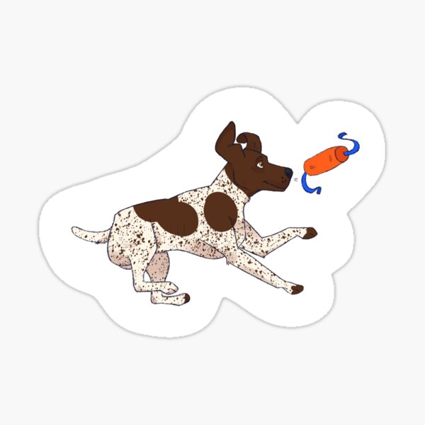 "Pointer- Dock Diving" Sticker for Sale by chloescanines | Redbubble