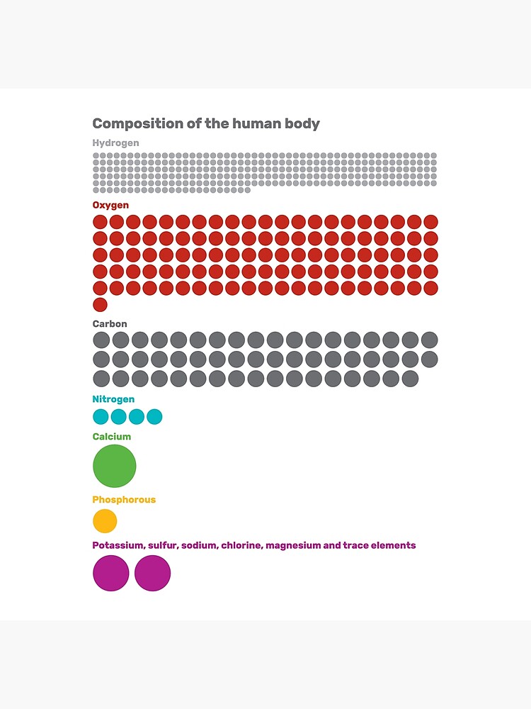Composition Of The Human Body Poster For Sale By Anthropocenic composition-of-the-human-body-poster-for-sale-by-anthropocenic