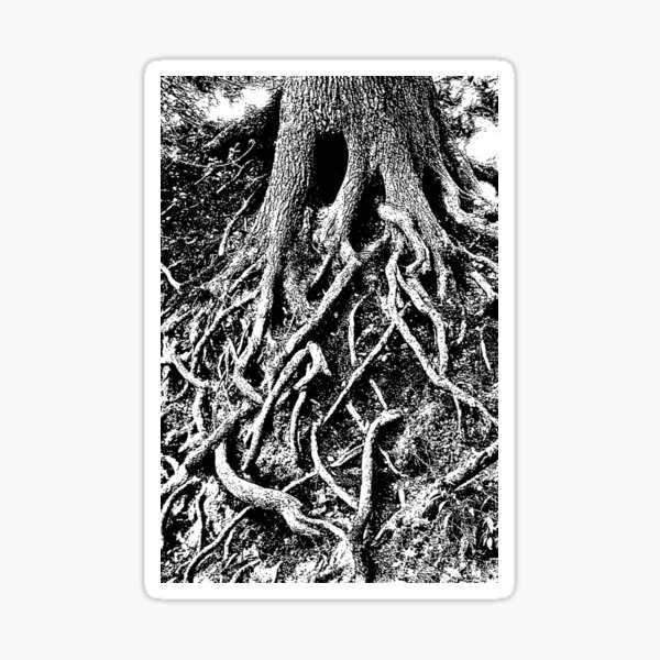 "Roots" Sticker by SteveHoltPhoto | Redbubble