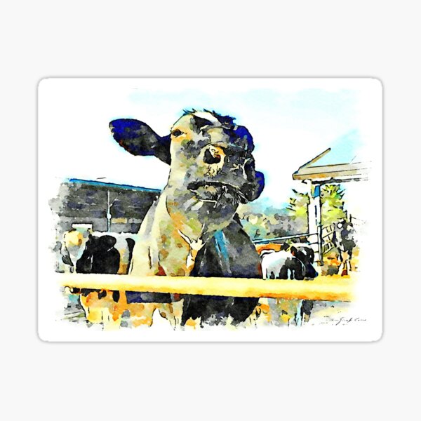 "Cow in the stall" Sticker for Sale by giuseppecocco | Redbubble