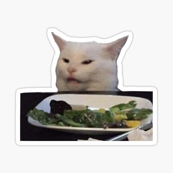 "Sad Cat On Table Meme" Sticker for Sale by BrentVergote | Redbubble