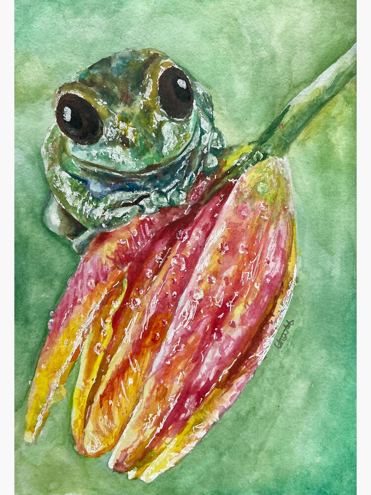 "tulip frog" Sticker for Sale by char-mitch | Redbubble