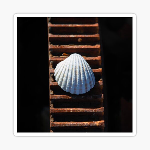 "Shell on a cog" Sticker for Sale by Papermouse | Redbubble