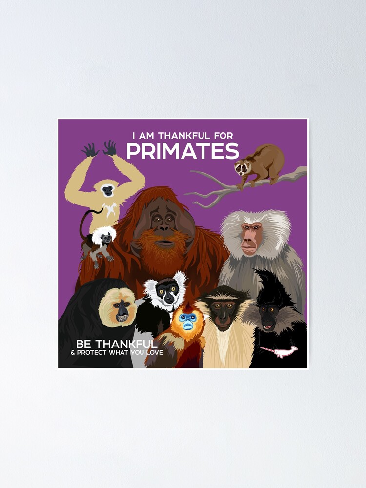 "I Am Thankful For Primates" Poster for Sale by PepomintNarwhal | Redbubble