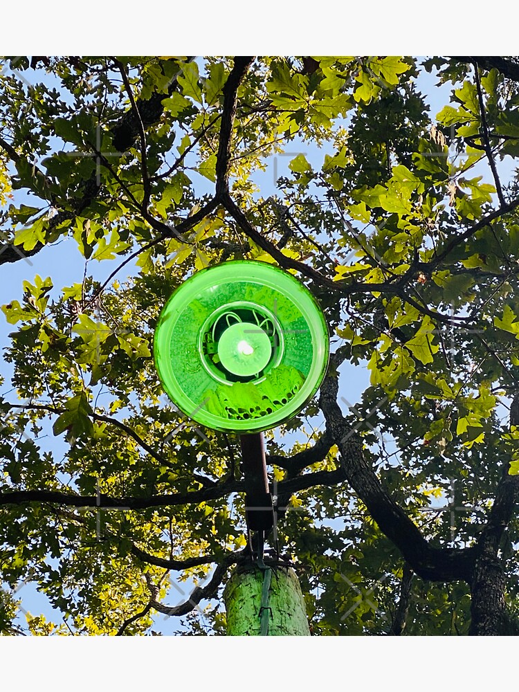 "UFO, Wierd Fruit, or Light in flight Trees" Sticker for Sale by ...