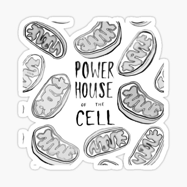 "Powerhouse of the Cell " Sticker by christinel | Redbubble