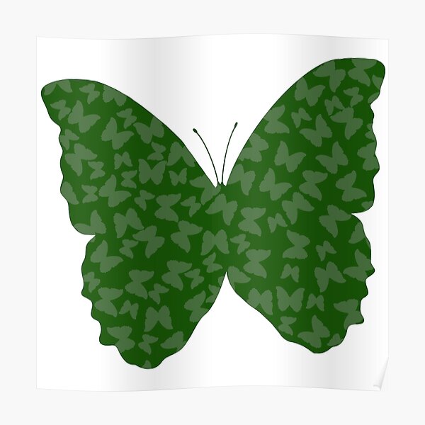 "Green Butterfly" Poster by DavidB2408 | Redbubble