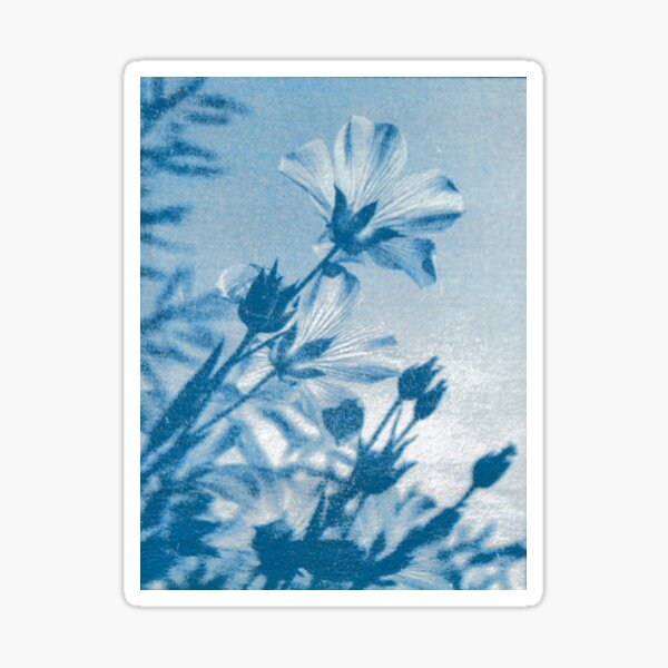 Cyanotype Gifts & Merchandise | Redbubble