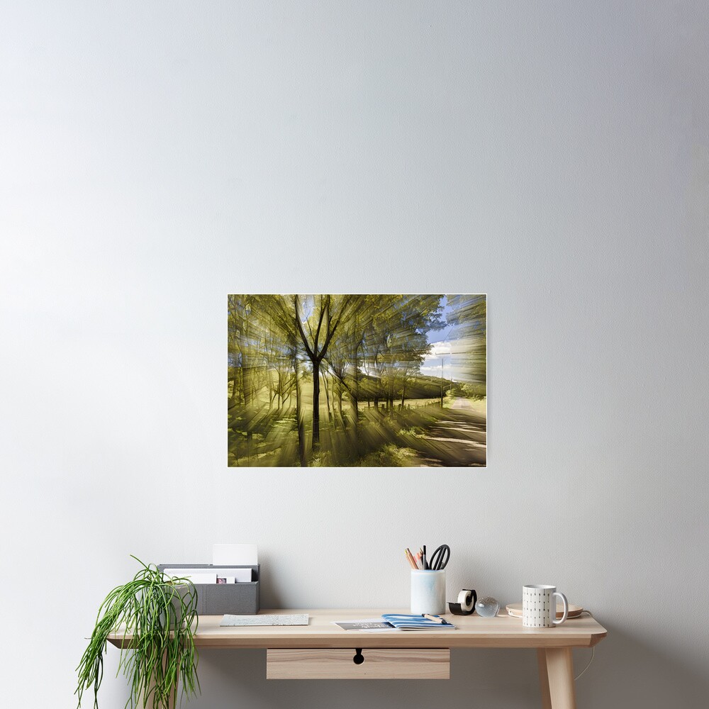 "Slingshot" Poster for Sale by butterbean57 | Redbubble