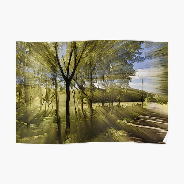 "Slingshot" Poster for Sale by butterbean57 | Redbubble