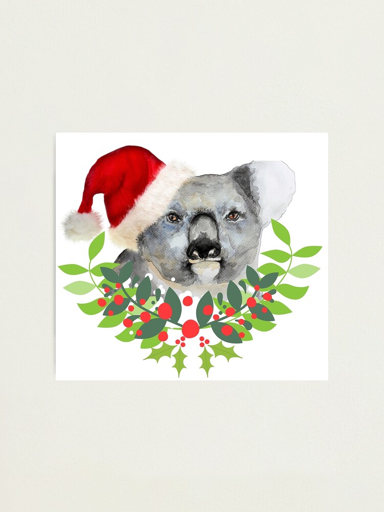"Koala Santa 2020" Photographic Print for Sale by LindaHammond | Redbubble
