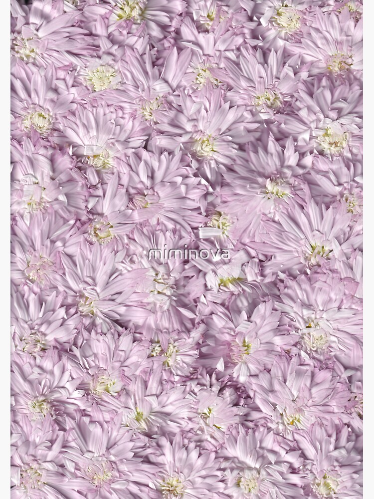 "Light Purple flowers" Sticker for Sale by miminova | Redbubble