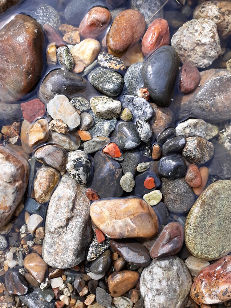 "Fall Color River Rocks" Sticker for Sale by JenJoiner | Redbubble