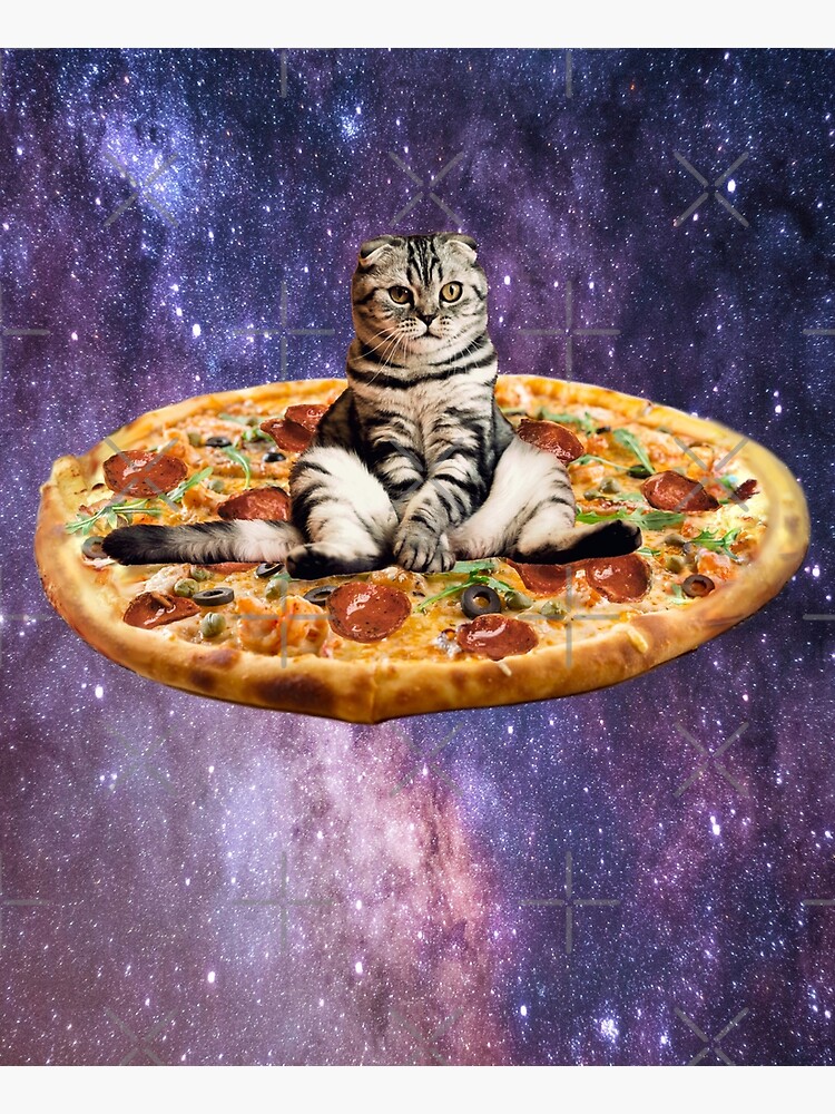 "Pizza Cat in Space" Apron for Sale by MeowMerch | Redbubble