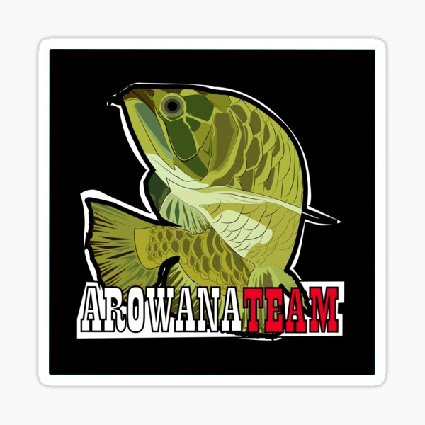 "arowana team for fish lovers" Sticker for Sale by 4w4n01 | Redbubble