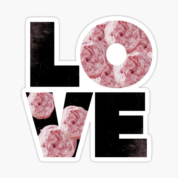 "Pink roses Love sign" Sticker by SJAPhoto | Redbubble