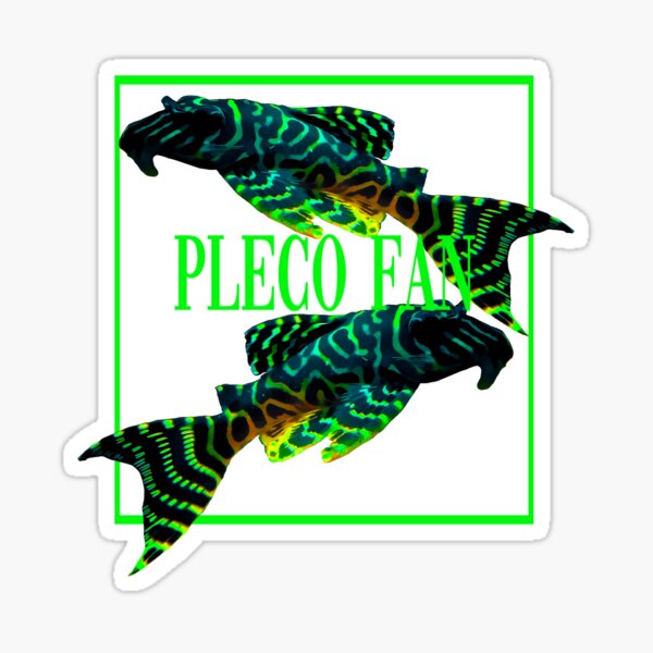 "Pleco Fan" Sticker for Sale by GFishy | Redbubble