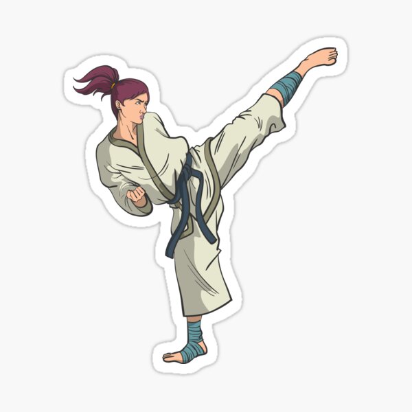 "Karate kick" Sticker for Sale by ansgarhugo | Redbubble