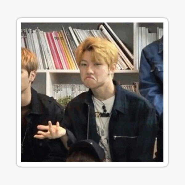 "stray kids felix meme" Sticker for Sale by cherry-joon | Redbubble