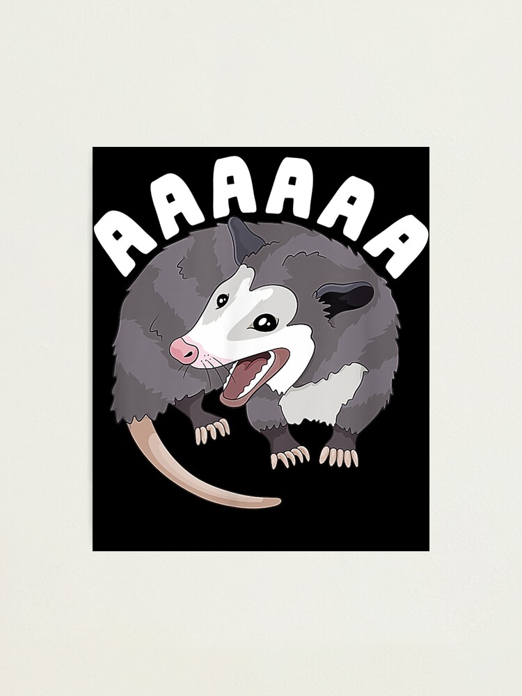 "AAAAAA Screaming Opossum Stressed Possum Funny Dank Meme" Photographic ...