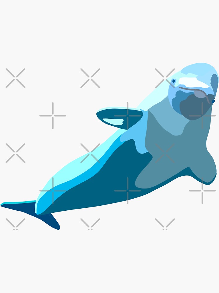"B is for Beluga Whale " Sticker by thezoogirl | Redbubble