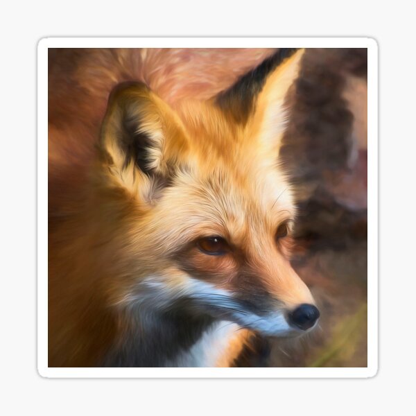 "Little Red Fox" Sticker by KBaccari | Redbubble