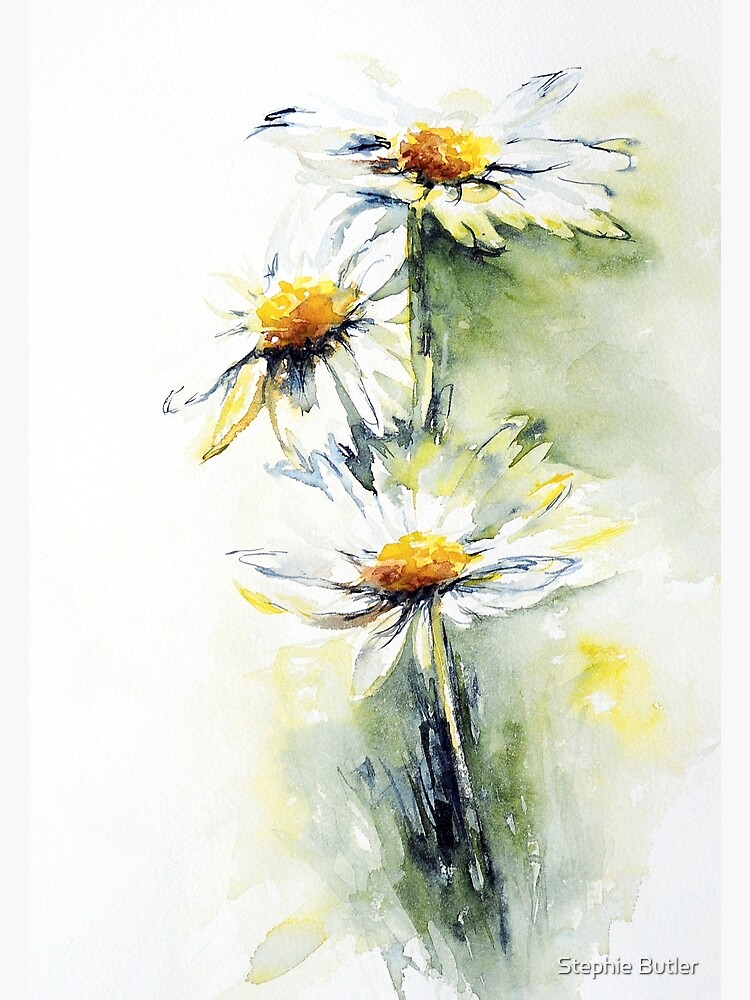 "Daisy Chain" Art Print for Sale by stephiebutler | Redbubble