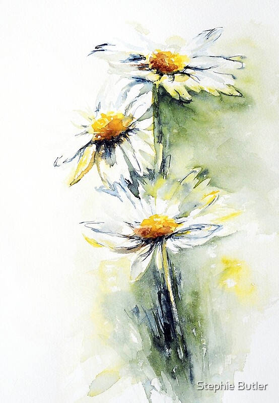 "Daisy Chain" by Stephie Butler | Redbubble