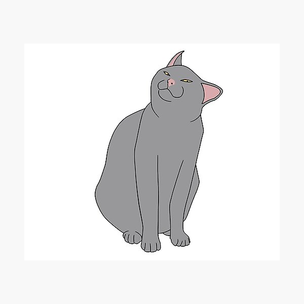 "SMUG GREY CAT MEME" Photographic Print by gin3art | Redbubble