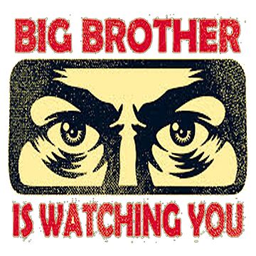 "Big Brother 1984" Poster for Sale by iEgressEarth | Redbubble