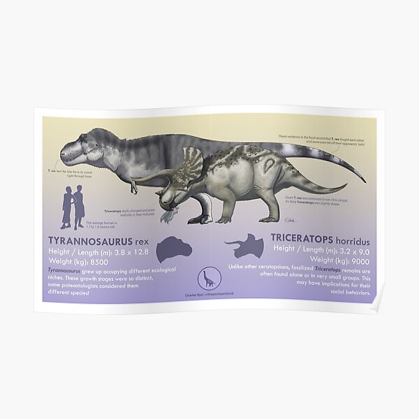"T. rex and Triceratops Educational Poster" Poster for Sale by ...