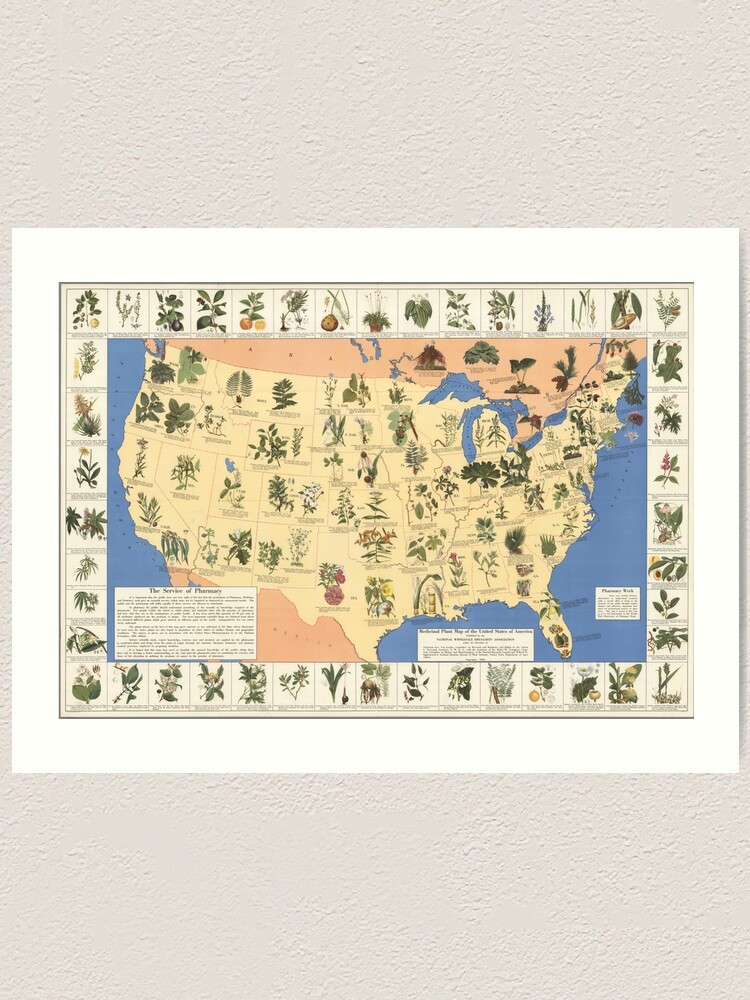 "1932 Medicinal Plant Map of the United States. Amazing map of ‘Herbal ...