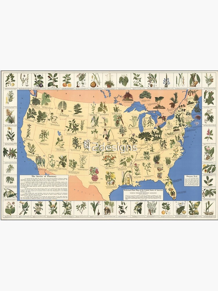 "1932 Medicinal Plant Map of the United States. Amazing map of ‘Herbal ...