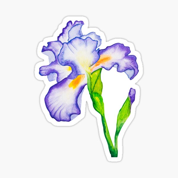 "Purple Iris" Sticker for Sale by Logan Gottsacker | Redbubble
